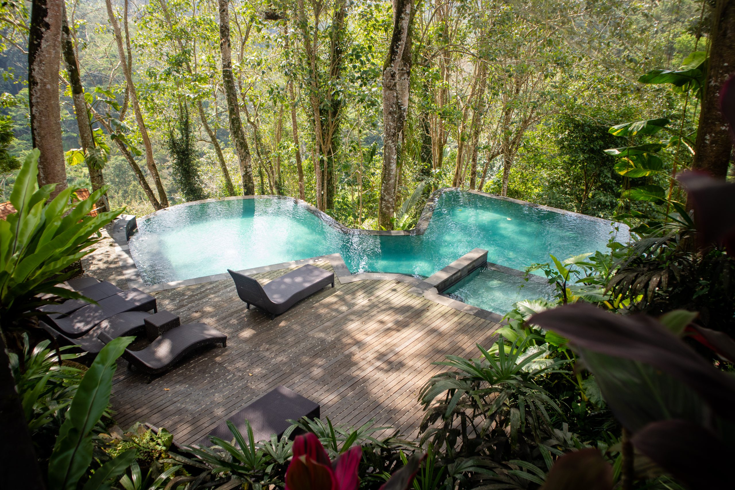 Ubud Nature Retreat for Authentic Bali Forest Dining at D-Alas
